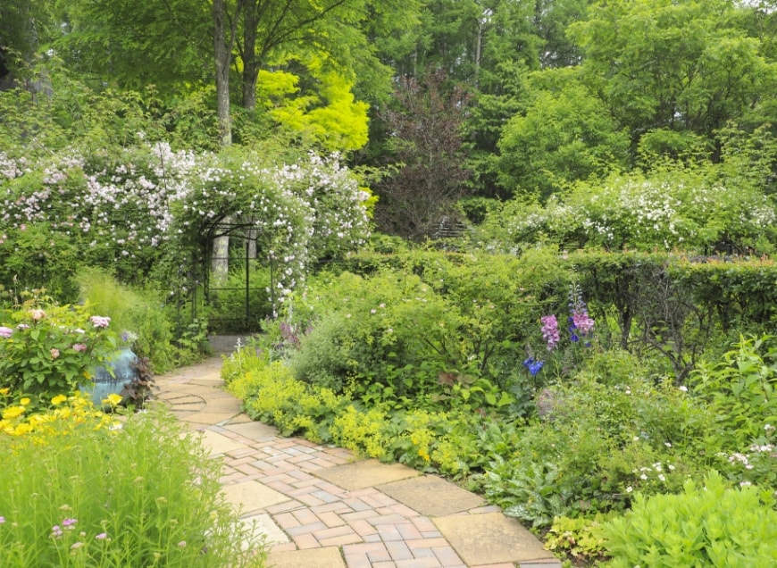 シミックグループの人財育成プログラム | CMIC JOBS：採用情報 シミック株式会社